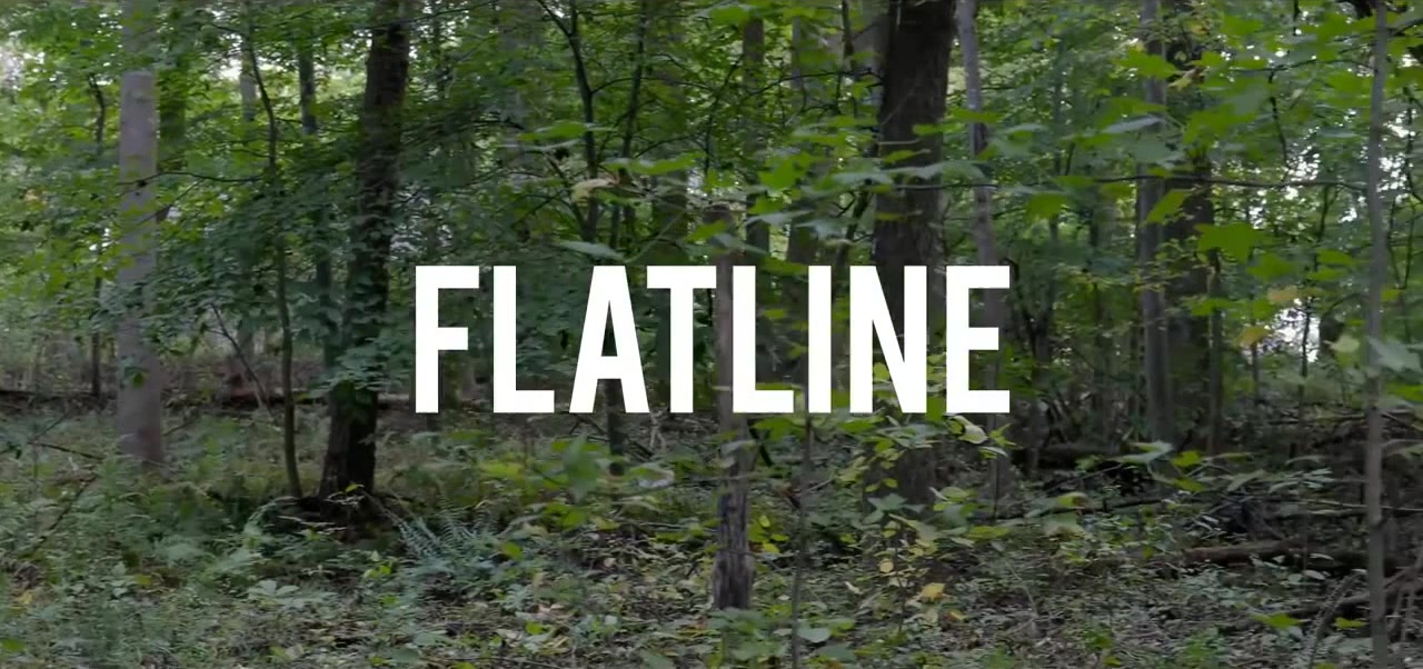 STREET LIGHT - Flatline - Coub