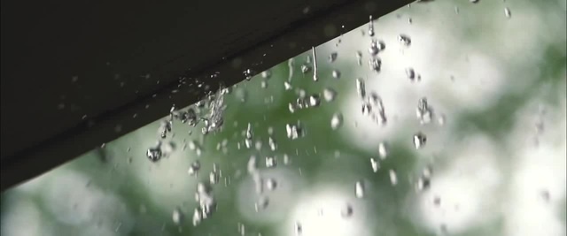 Rainy Day (Sony a7 III and Zhiyun Crane Plus) - Coub