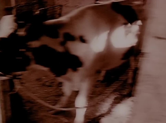 Alice In Chains - Man in the Box (Official Video) - Coub