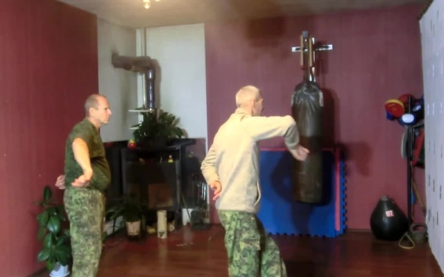 Universal combat system 00 - Coub