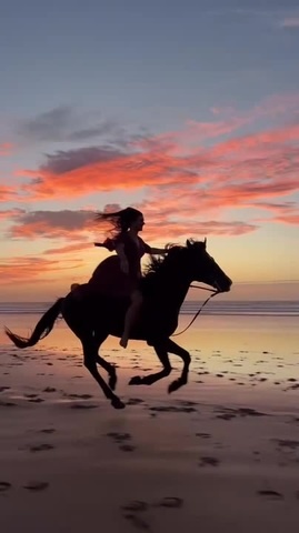 Sunset spirit - Coub