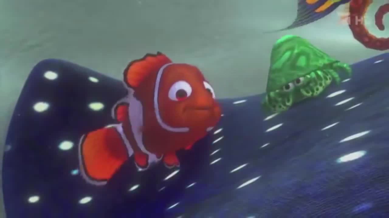 Anemone Spotted - Coub