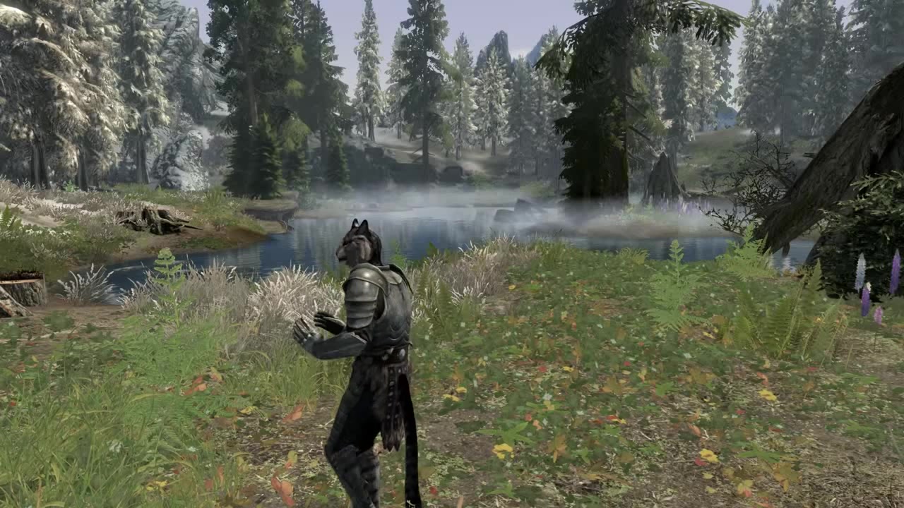 Dancing Khajiit [Skyrim] - Coub