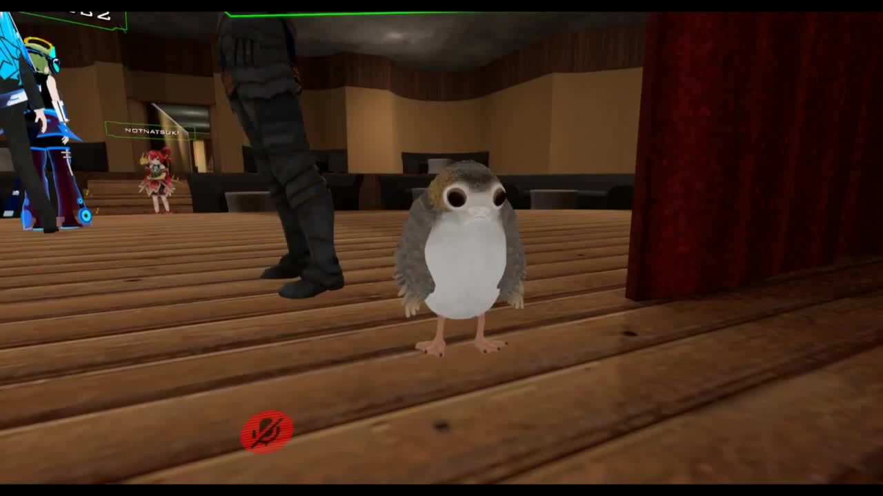Bird dancing VR - Coub