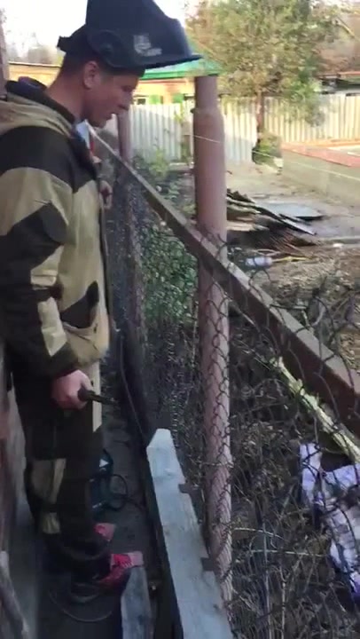 Push The Tempo - Coub