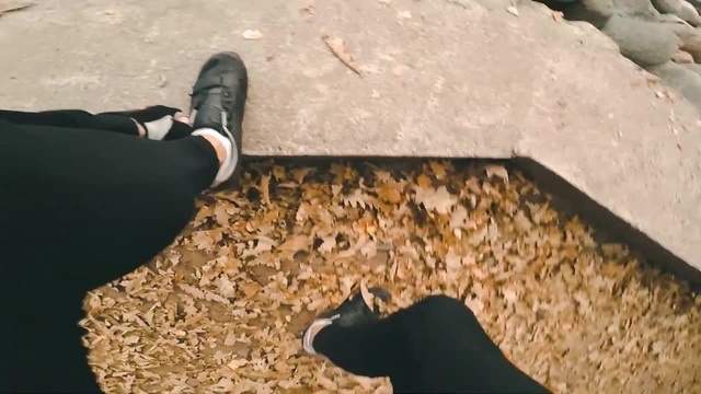 Sestroreck City - Coub