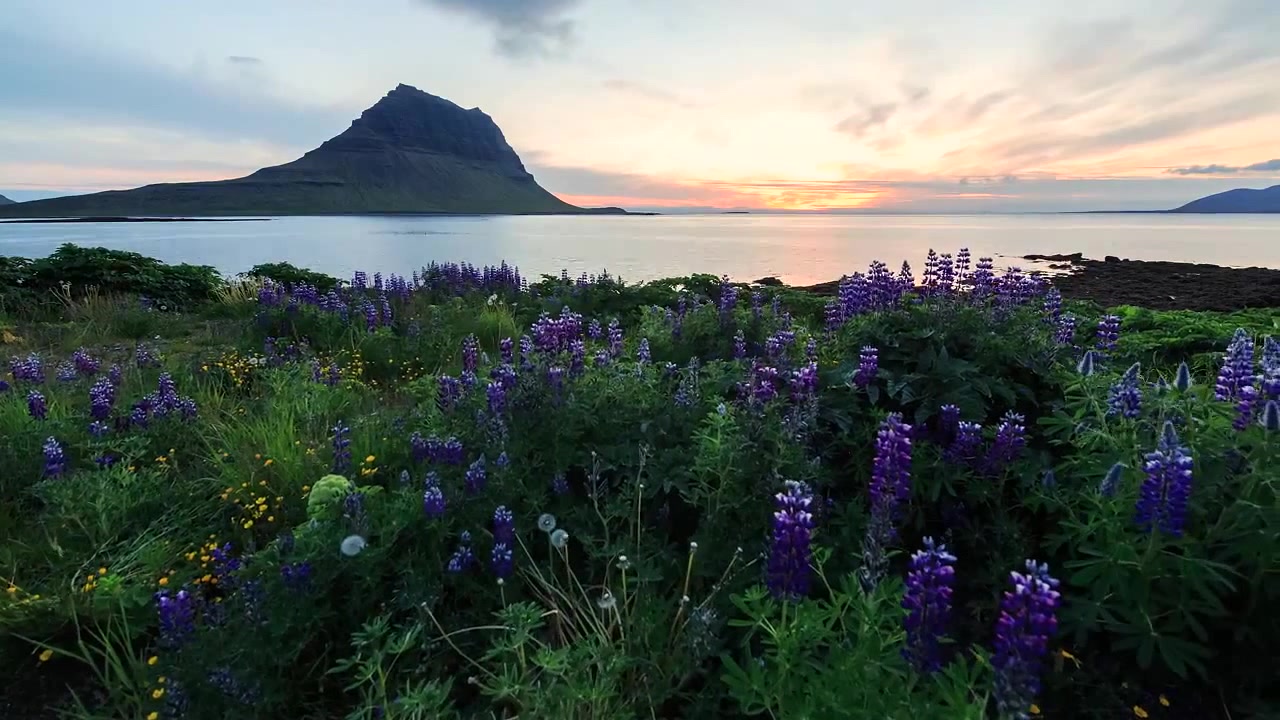 legend nature - Coub