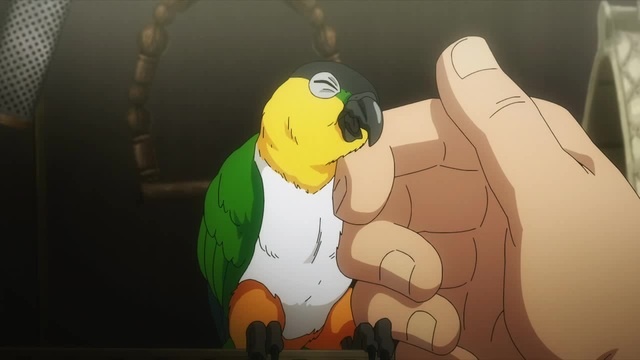 Captain parrot - Coub