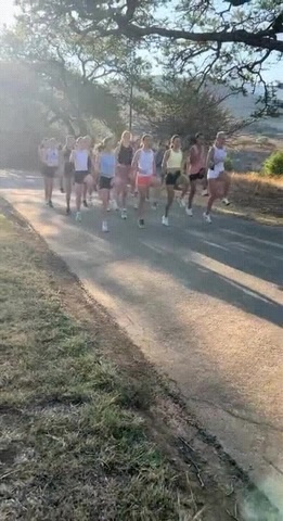 Salut B3rt⚠️ - Coub