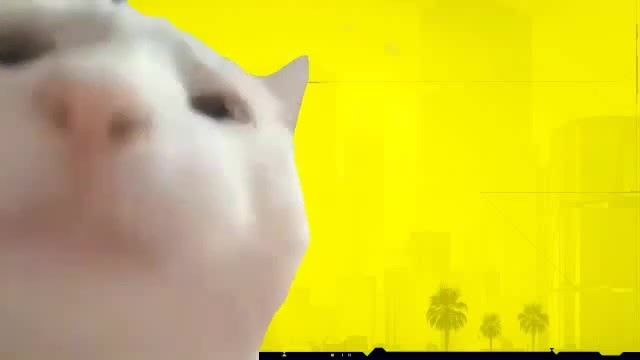 The Rebel Path - Cyberpunk 2077 - Coub