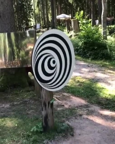 vertigo optical illusion - Coub