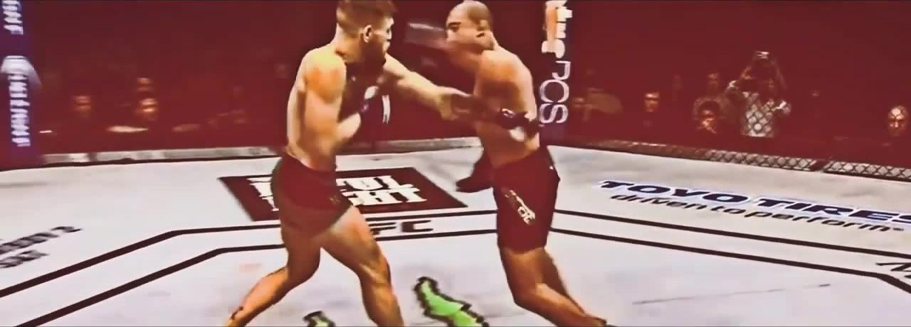 #2 McGregor VS Nurmagomedov - Coub