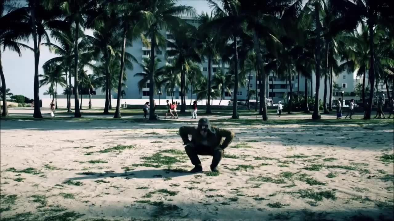 Ivan Stereotipoff First Invasion - Coub