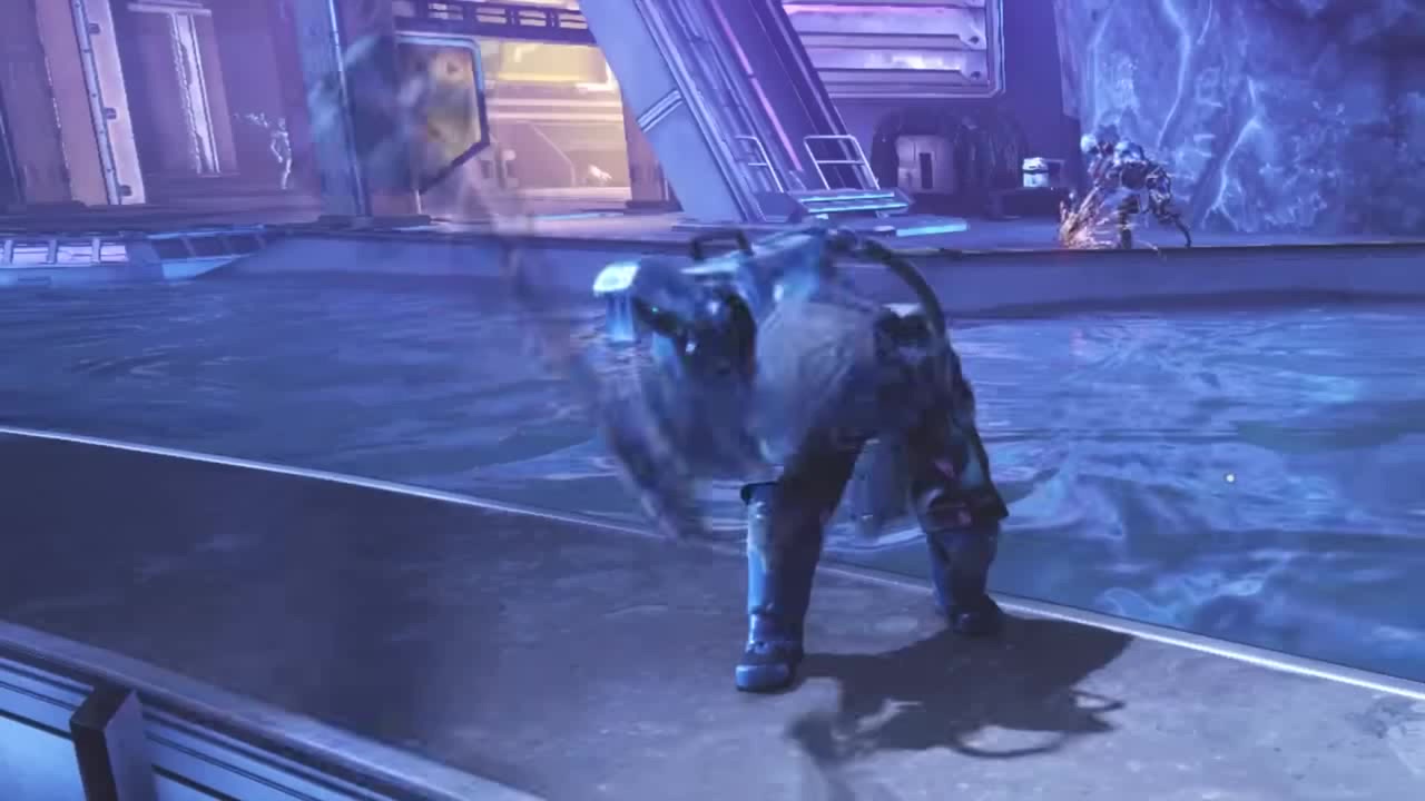 Warframe Memewind 2018 (Best of ZitaWup) - Coub