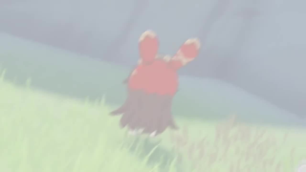 Cute doll amber - Coub