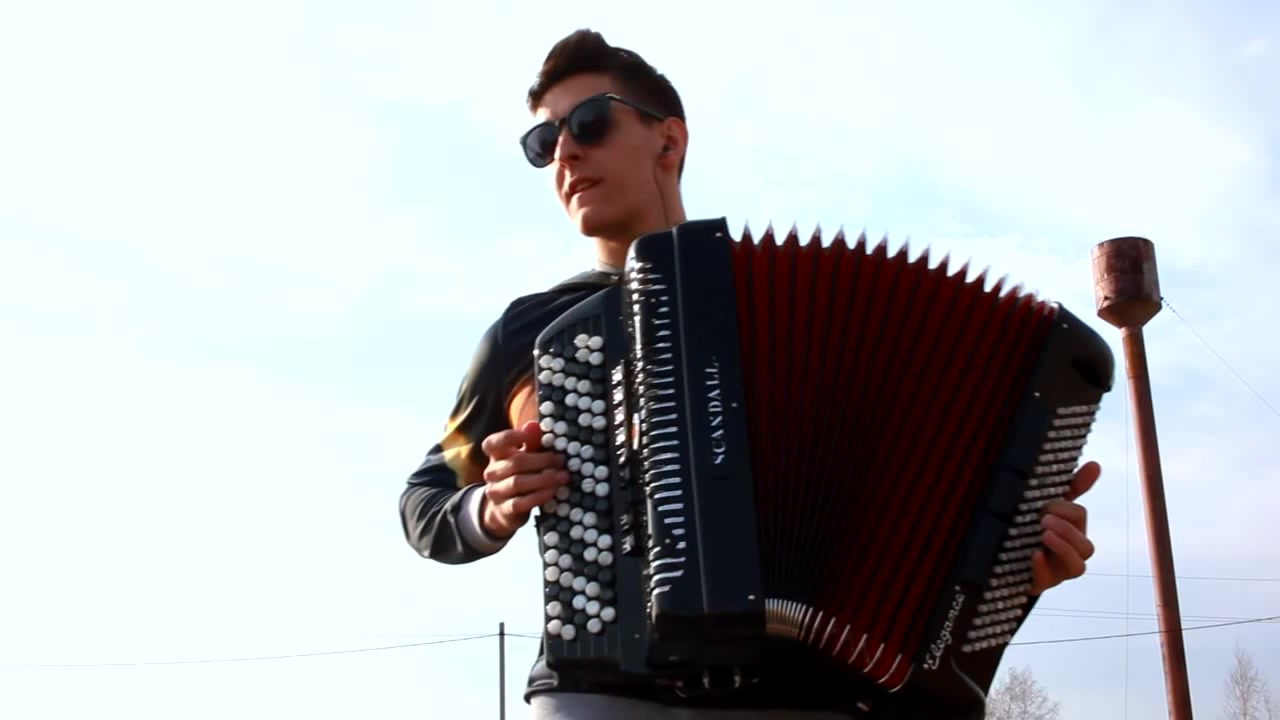 ROCKSTAR ON BAYAN (Post Malone cover | кавер на баяне) - Coub