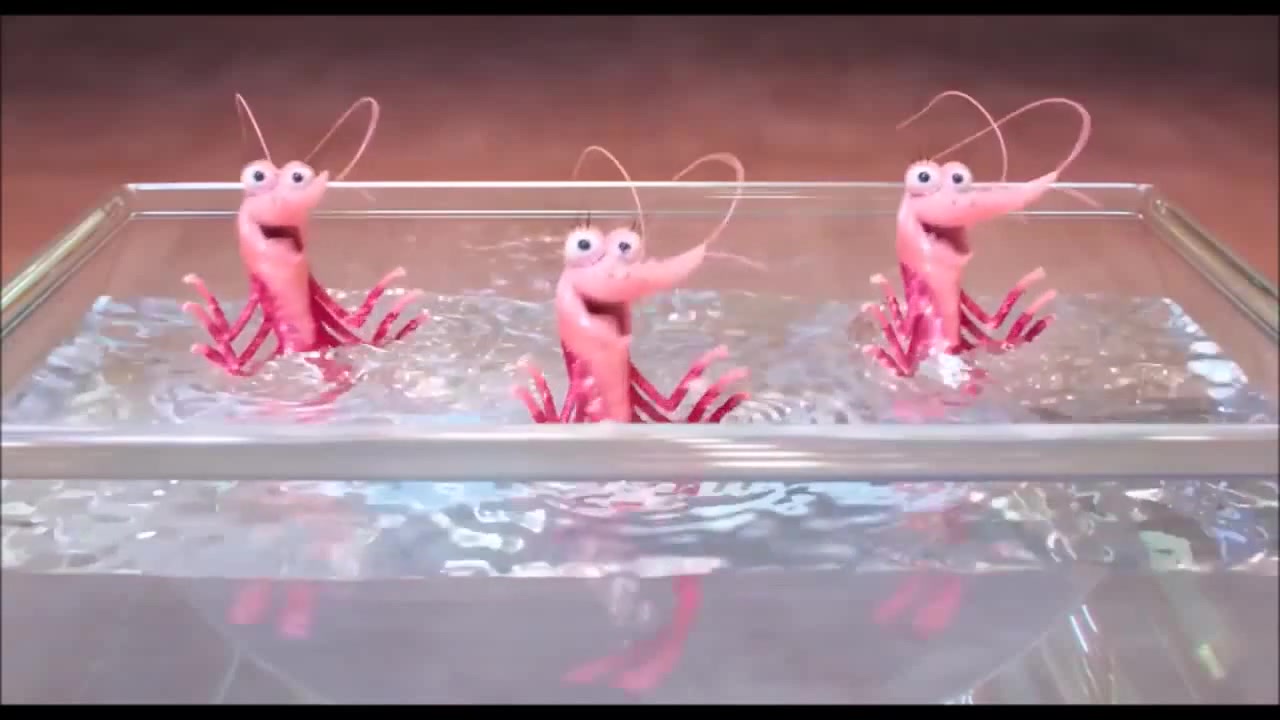Shrimps singing to crazy in love - Coub