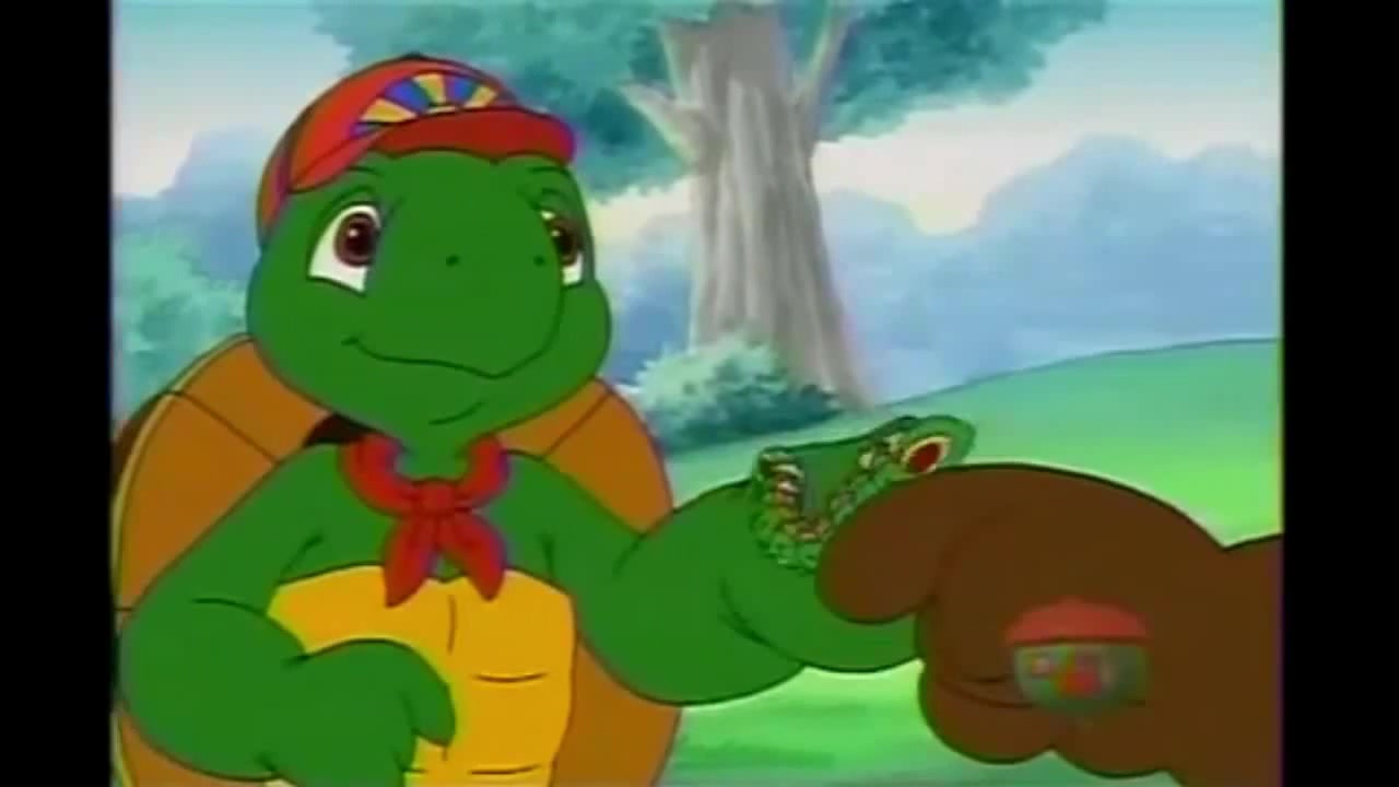The Turtle 1 - Coub