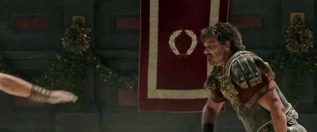 stubborn little gladiator - Coub