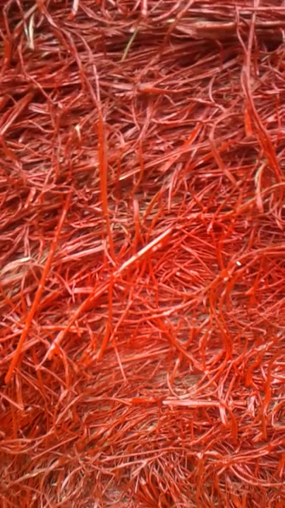 Dis goes out to all lover's - Coub