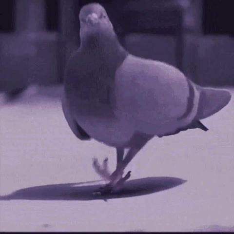 khiron - no need to be afraid - Coub