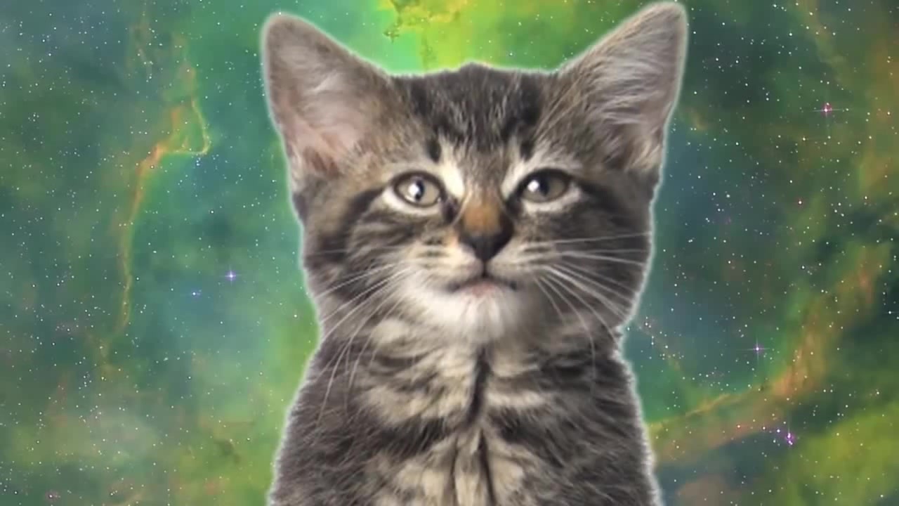 J.Geco - Chicken Song - Coub