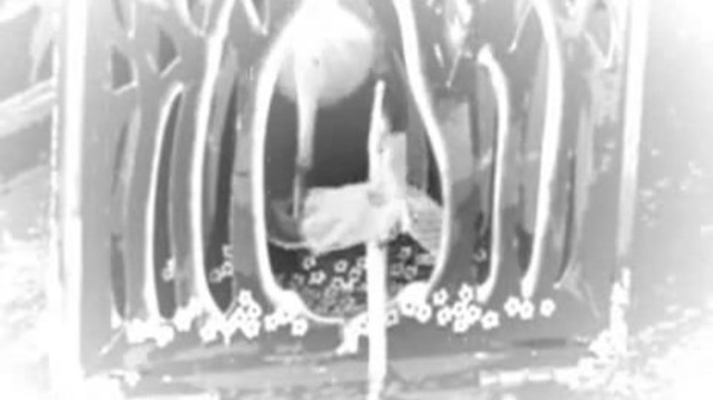 MusicBox - Melancholia - Coub