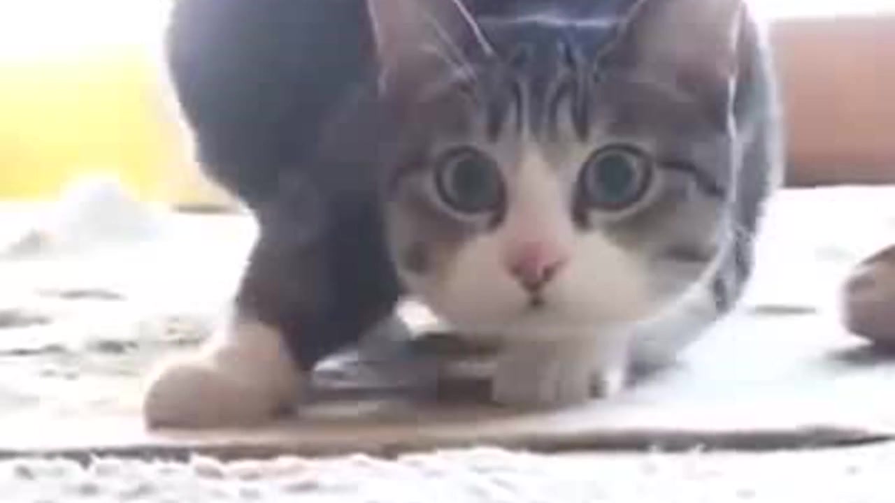 Strict Machine - Coub