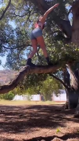 fall like a cat - Coub