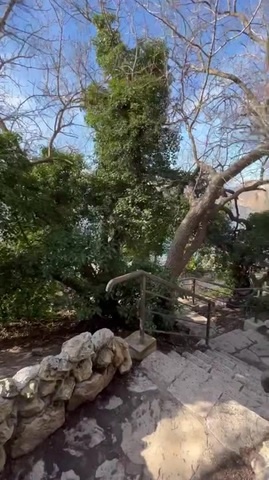 Always forever - Coub