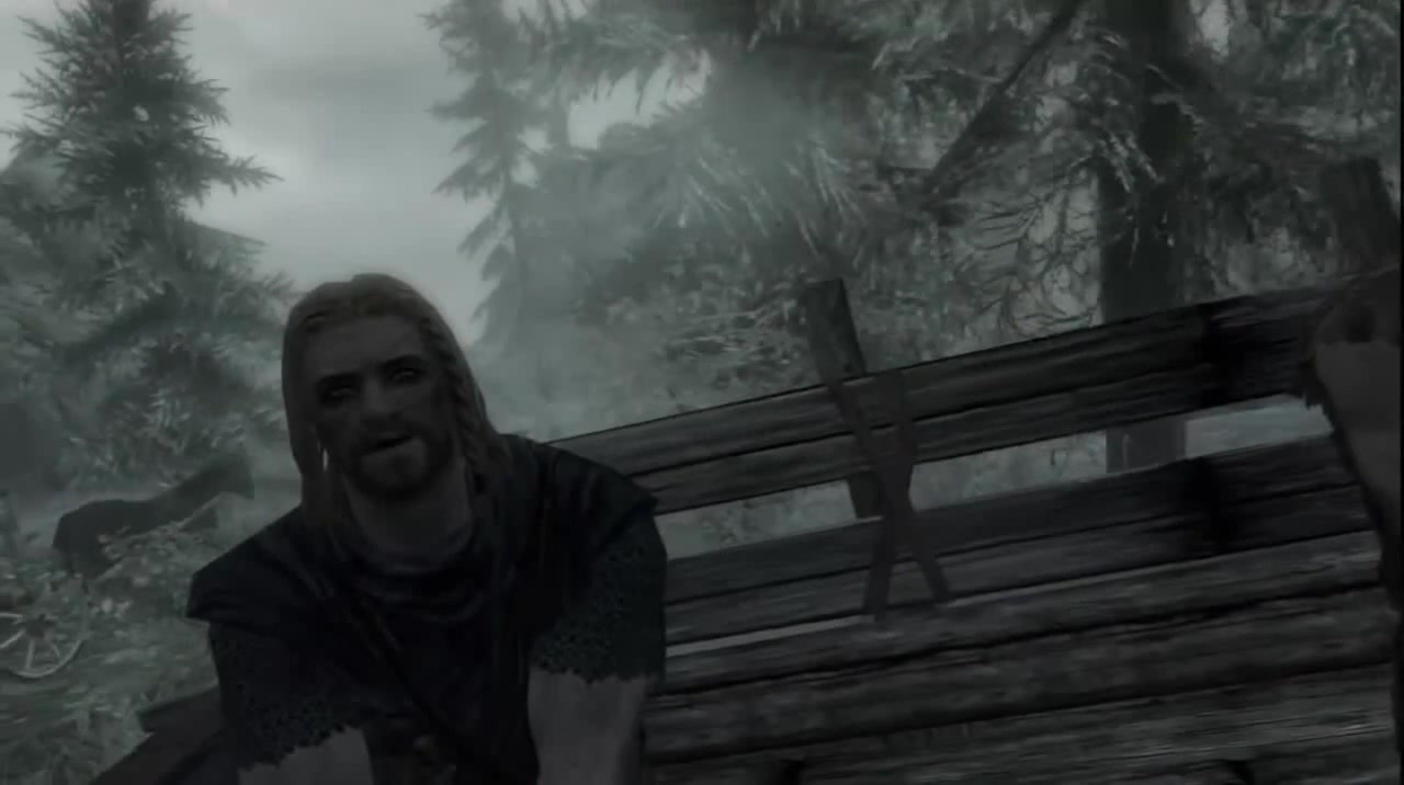 Opening Scene Skyrim - Coub