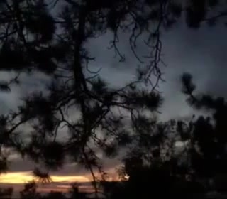 Chilly forest trip - Coub