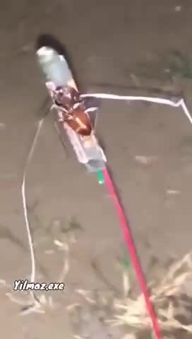 Captain Cockroach - Coub