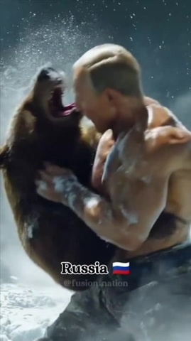 Vladimir the Bear - Coub