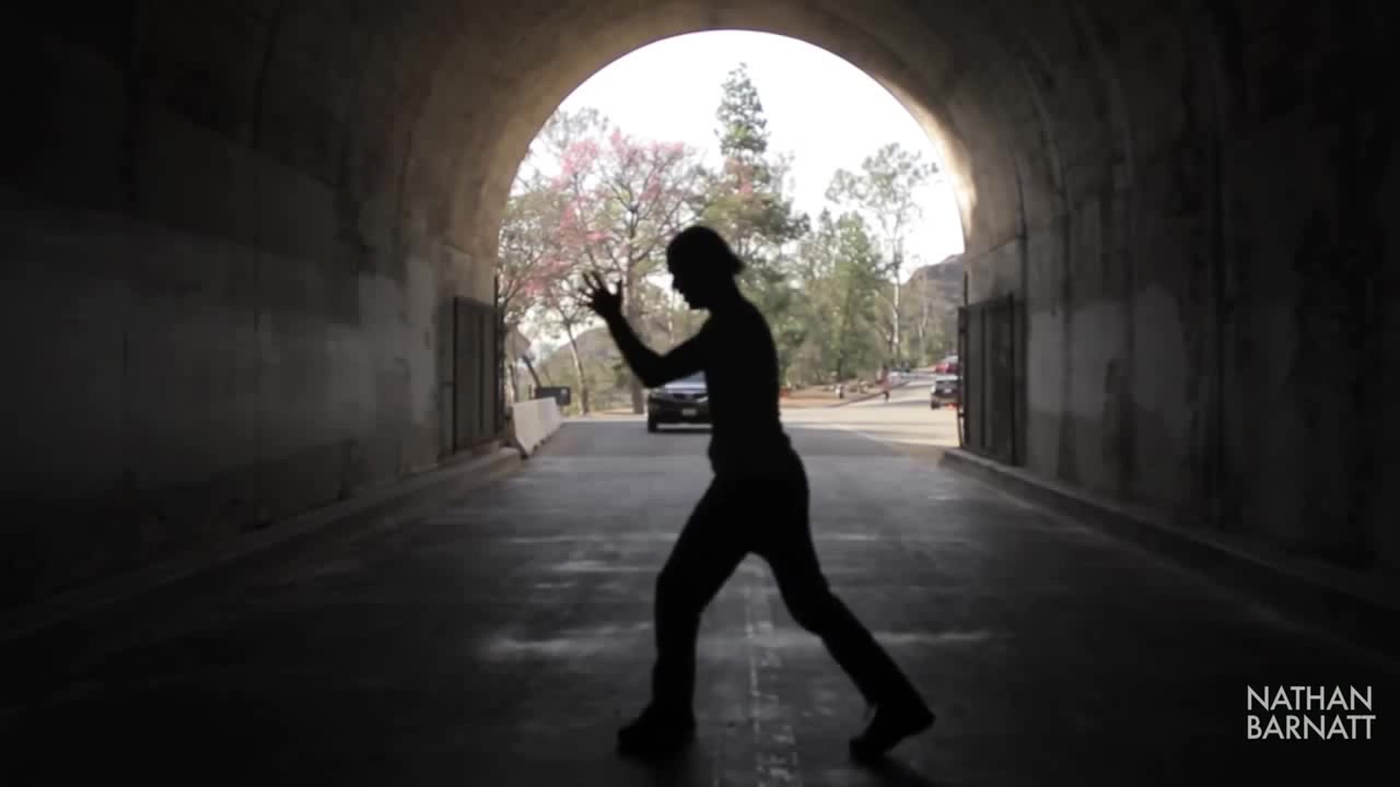 GTA 5 Dance Video by Nathan Barnatt - Coub