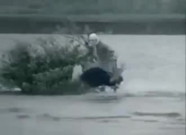 Run in water funny - Coub