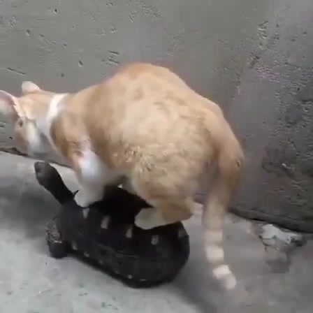 Fast and Furious X - Coub