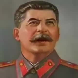 Rainbow Stalin - Coub