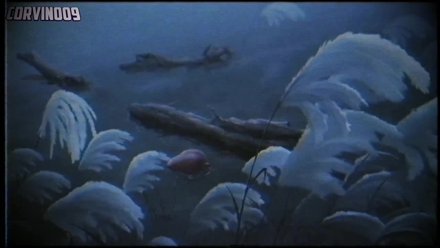 Endless suffering - Coub