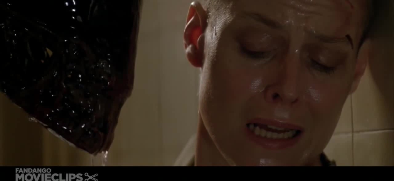 When you know for sure - Coub