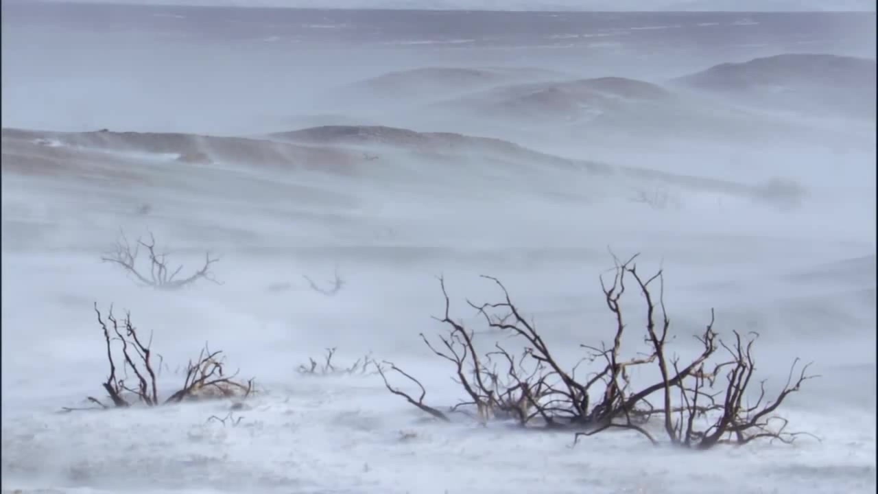 Planet Earth 05 Deserts Part 01 - Coub