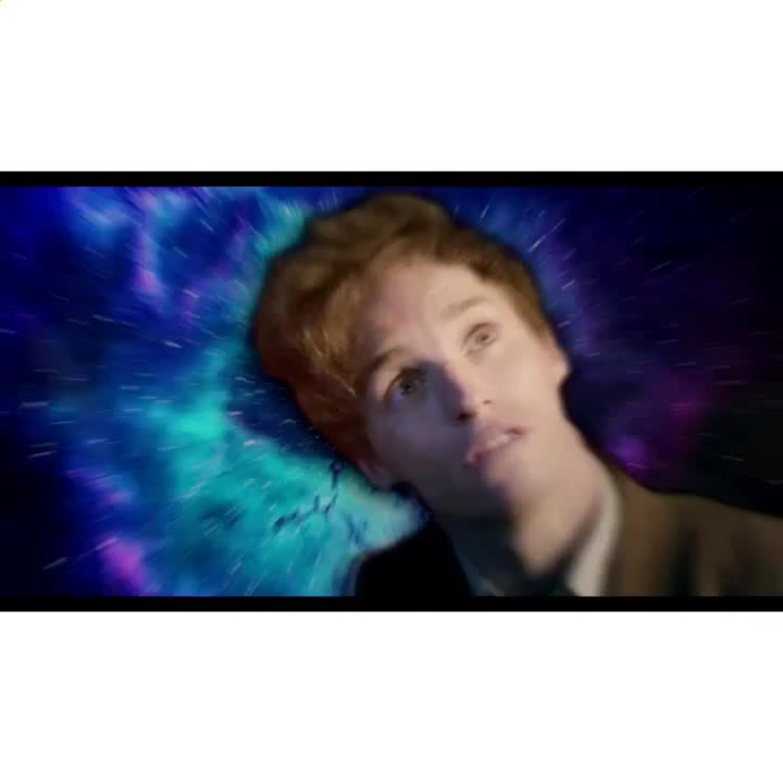 newt scamander | starboy –in love with this bean ib: shin art. / dt: he[art] & endless - Coub