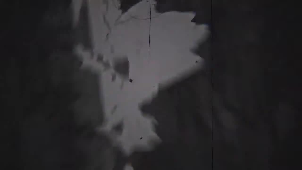 amv naruto flex - Coub