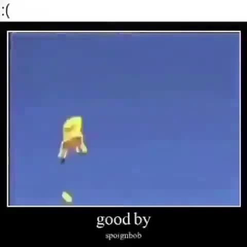 shitpost status - Coub