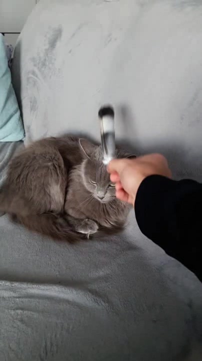 Just a regular everyday mode - Coub