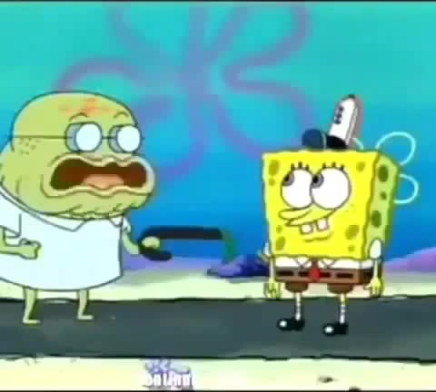 I saw you on TV last night - Coub