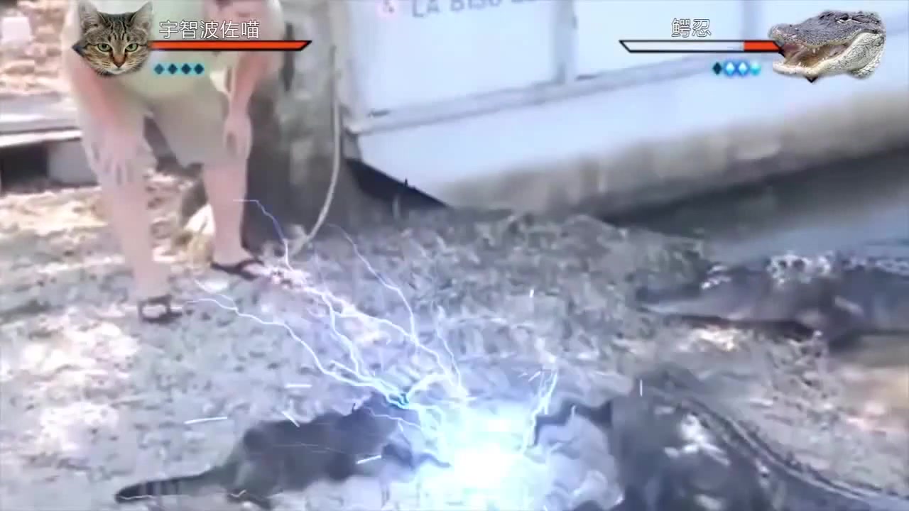 Naruto cats.) - Coub