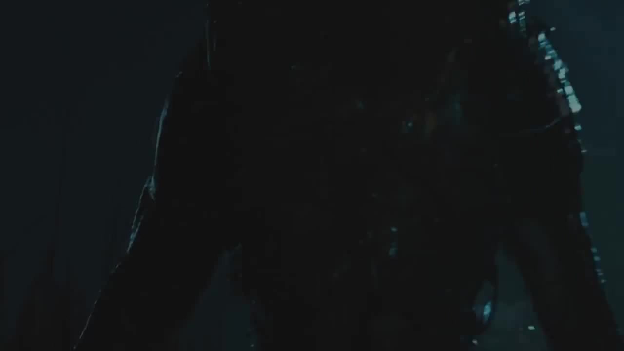 Wolf Predator - Coub