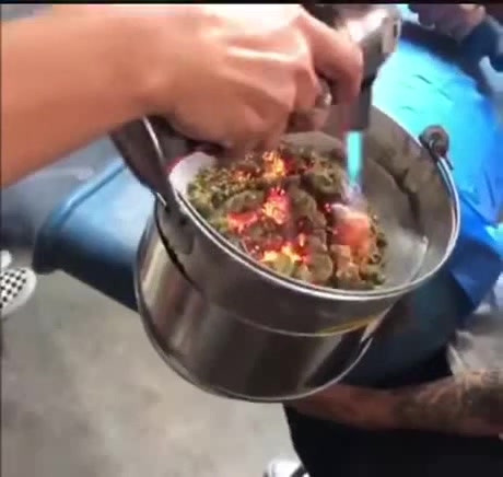 Insane in the membrane...weeeed! - Coub