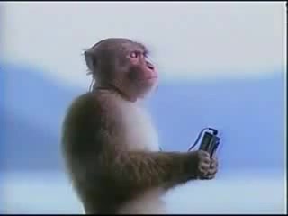 Monkey Walkmam - Coub